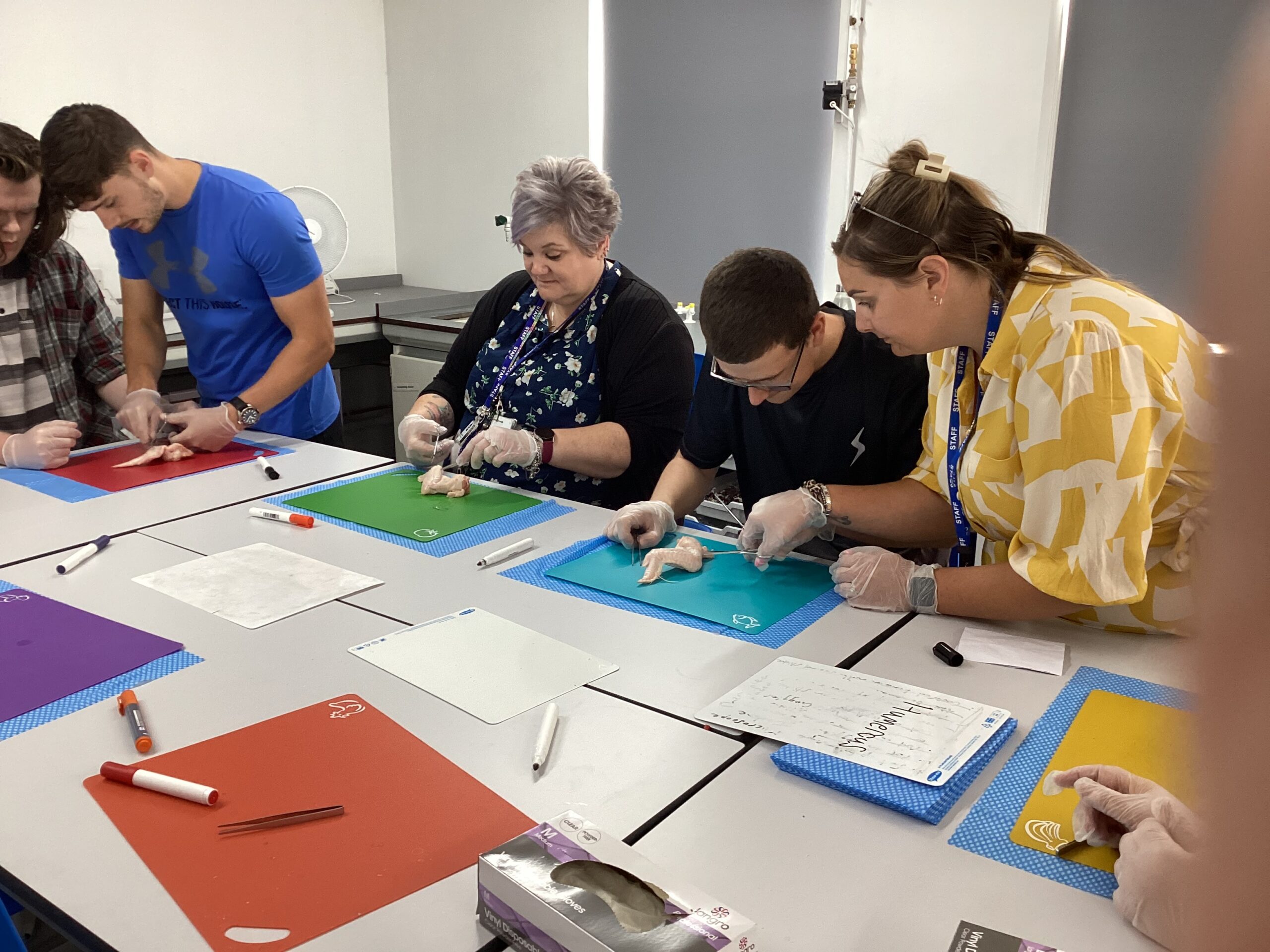 🧪🔬 STEM-tacular Showdown: House Event Ignites Sparks! 🚀🧠 - Dawn House ...